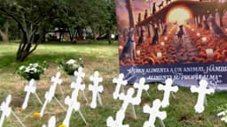 Regreso de las Mascotas por el Día de Muertos: Ofrenda en Honor a ...